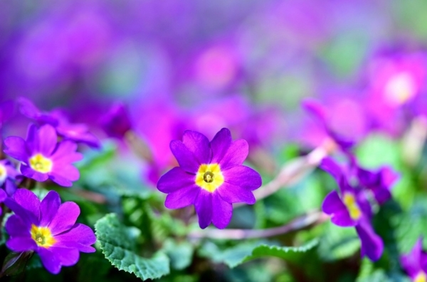 Tử vi tháng 9/2023 của 12 cung hoàng đạo: Kim Ngưu đối mặt thử thách ...