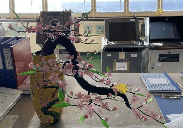 Tác phẩm dự thi "Petrovietnam trong tôi": Bộ ảnh "Hoa Xuân … trên tàu ...